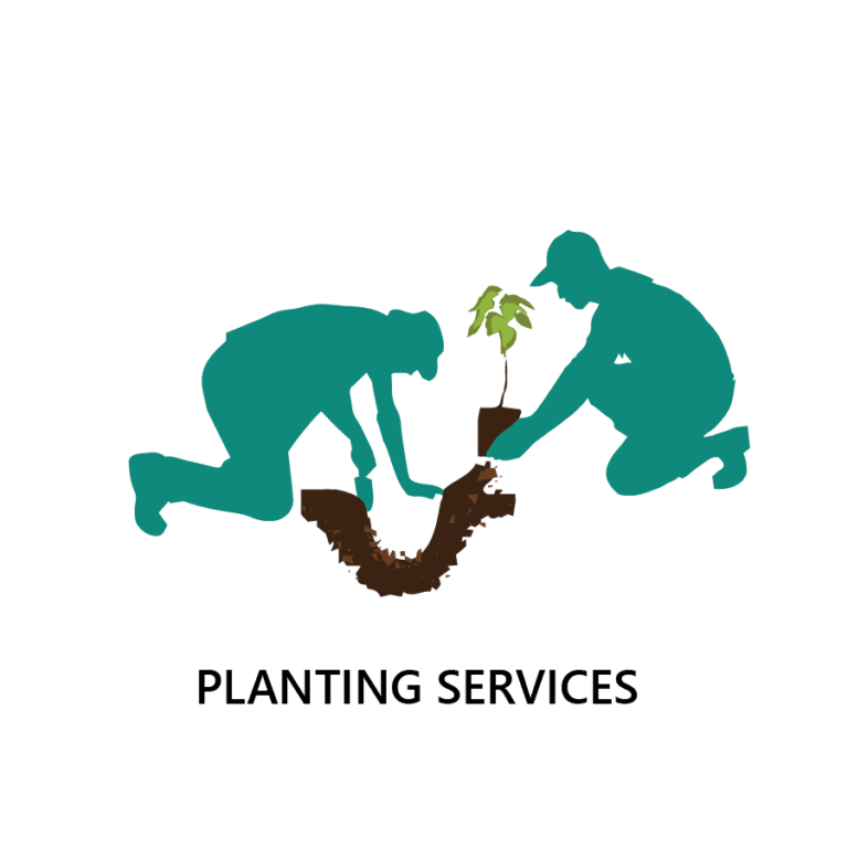 Sodding Services In Ontario 🥇 | Royal Sodding